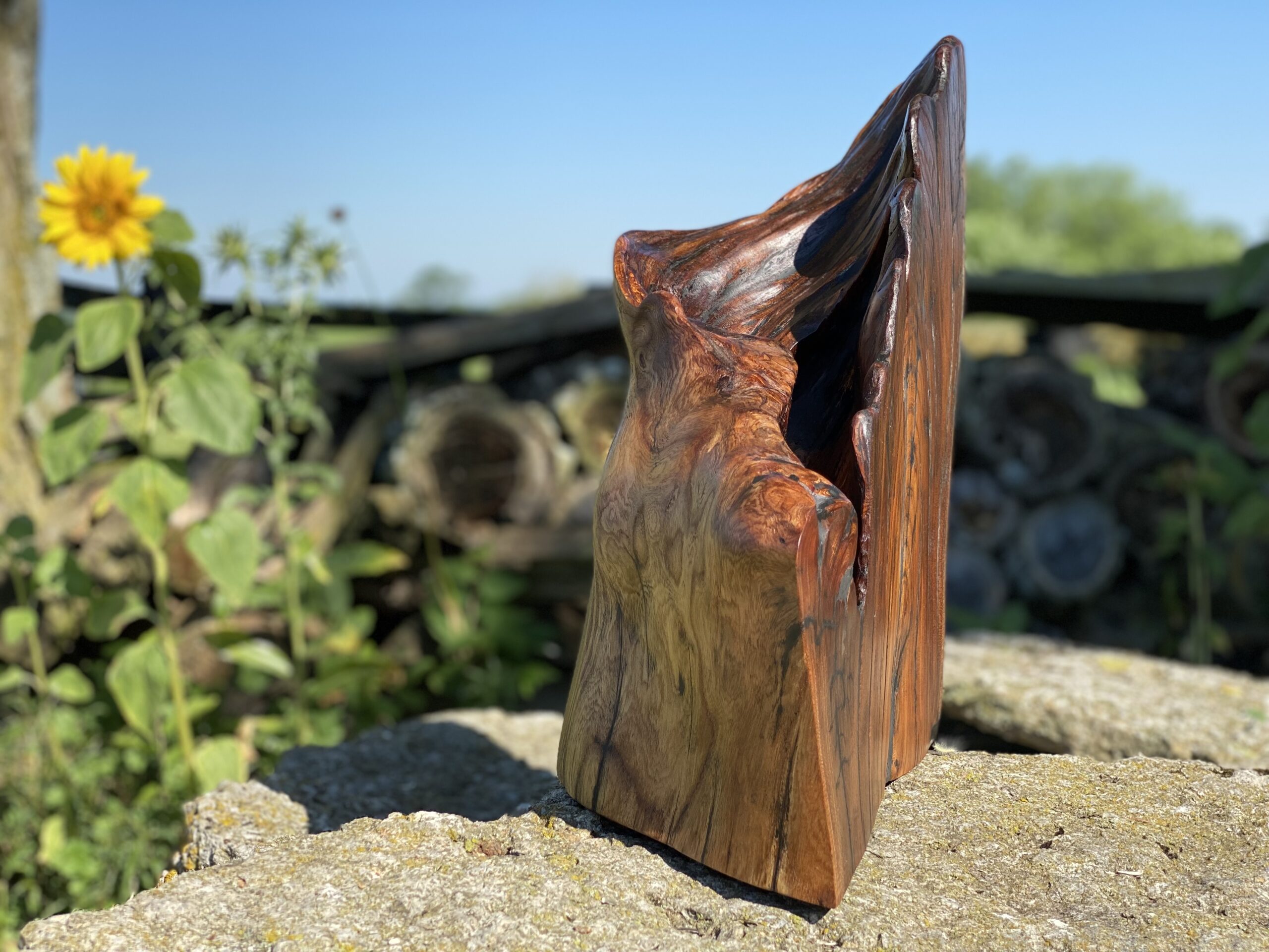 Wood Expression by Kris